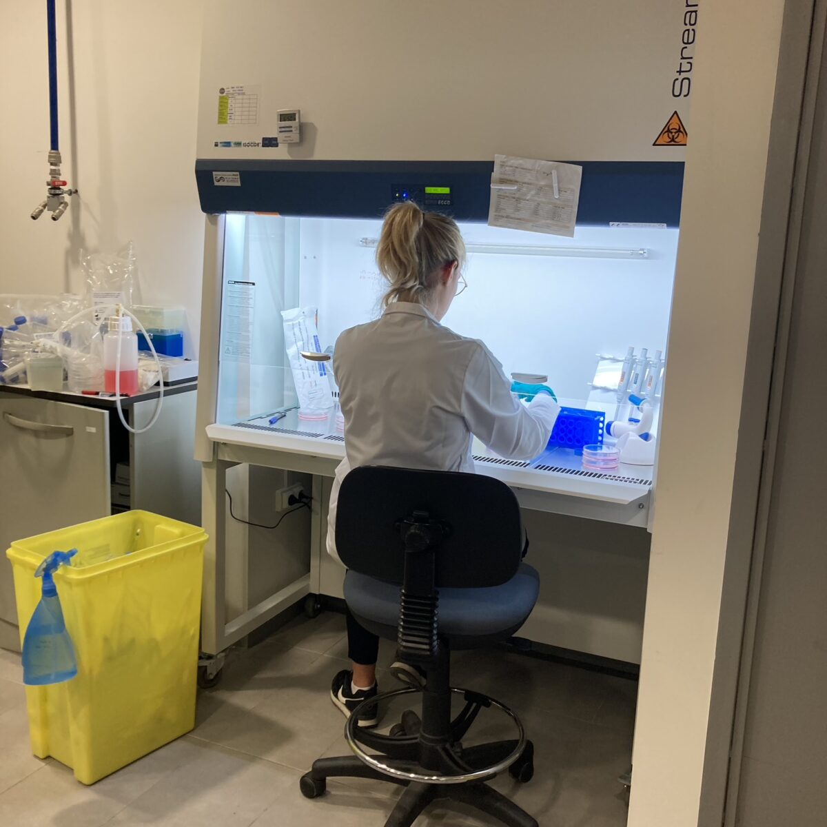 New External Facilities for the BIO Platform - LSC Canfranc