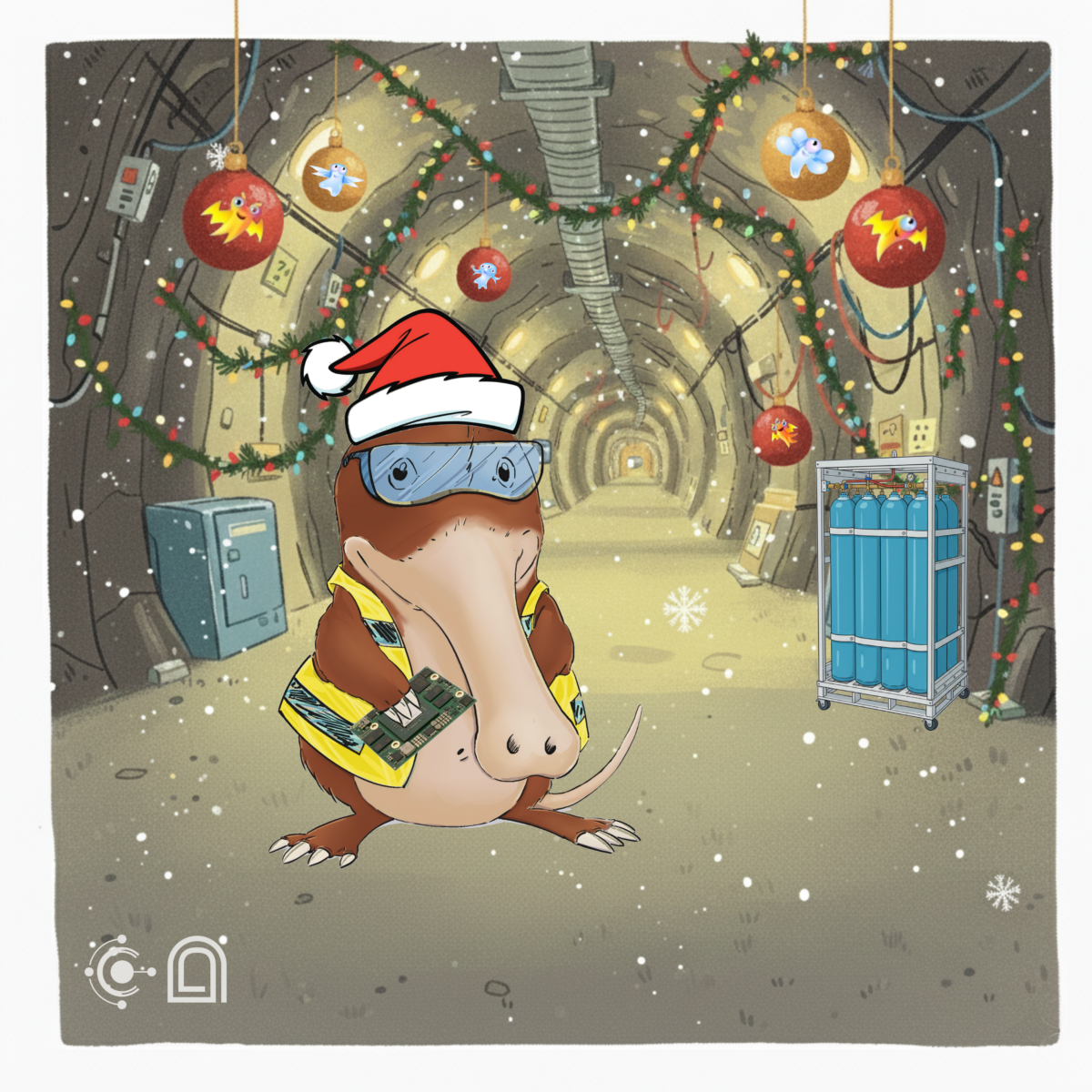 The LSC wishes you a Merry Christmas and a Happy New Year - LSC Canfranc